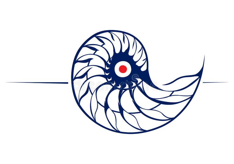 Spiral Shellfish Stock Illustrations – 8,258 Spiral Shellfish Stock ...