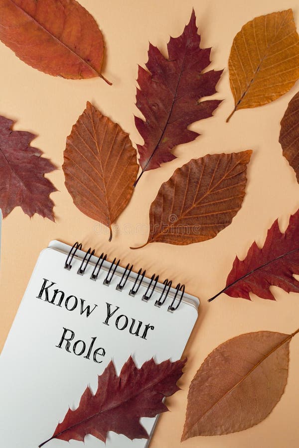 541 Notebook Pile Spiral Stock Photos - Free & Royalty-Free Stock ...