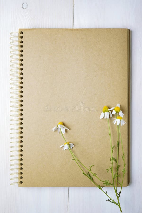 Notebook with Rustic Yellow Paper and Chamomile Flowers Stock Photo ...