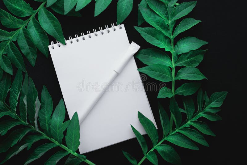 Notepad Mockup with Frame Made of Green Tropical Leaves Stock Photo ...