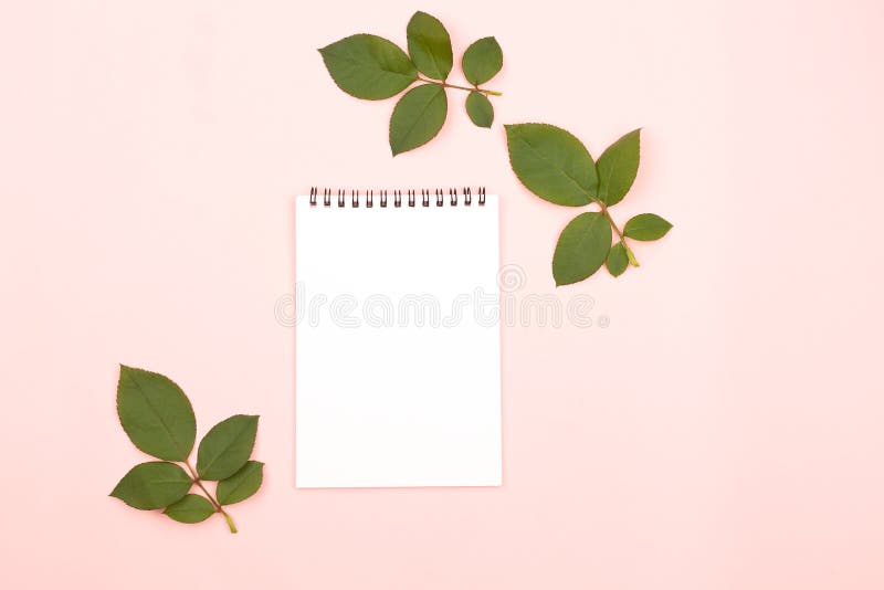 Notepad and leaves stock photo. Image of blog, female - 131487496