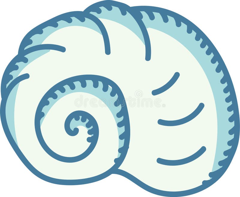 Spiral Seashell Hand Drawn stock illustration. Illustration of seashell ...