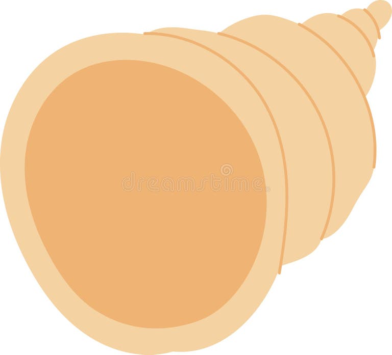Smooth Curved Shell Stock Illustrations – 70 Smooth Curved Shell Stock ...