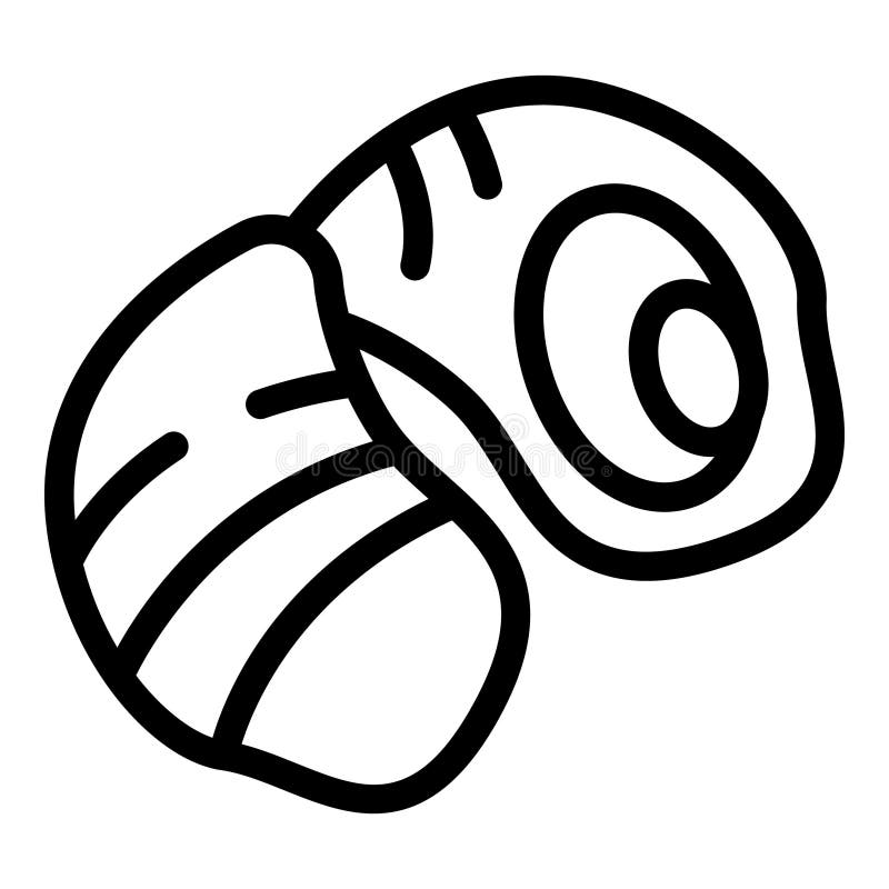 Spiral Shell is Opening, Revealing a Smooth, Rounded Interior with ...