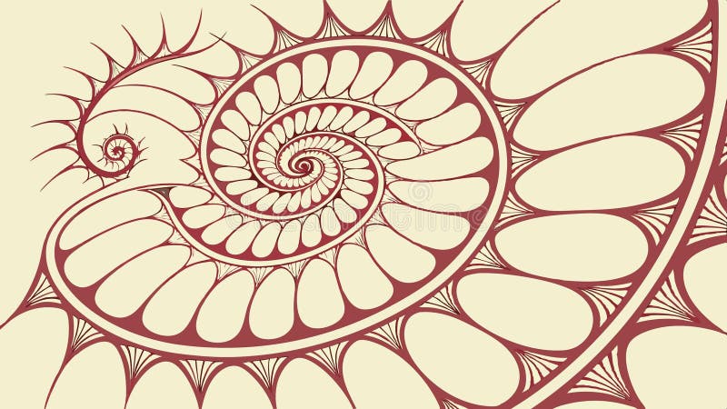 Spiral Shell Pattern, Nautilus Shell, Fibonacci Sequence, Natural Geometry Design Vector Design ...