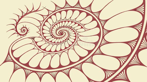 Spiral Shell Pattern, Nautilus Shell, Fibonacci Sequence, Natural Geometry Design Vector Design ...