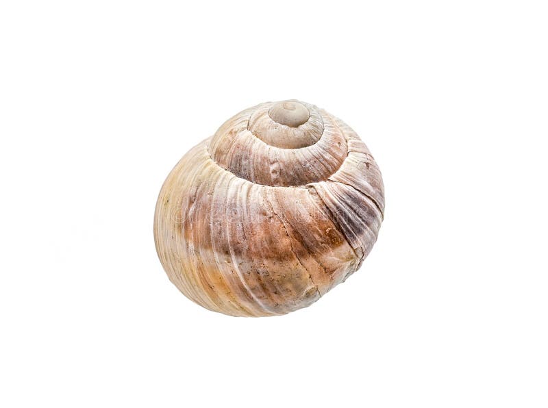 The snail house rock stock image. Image of stone, black - 149249209