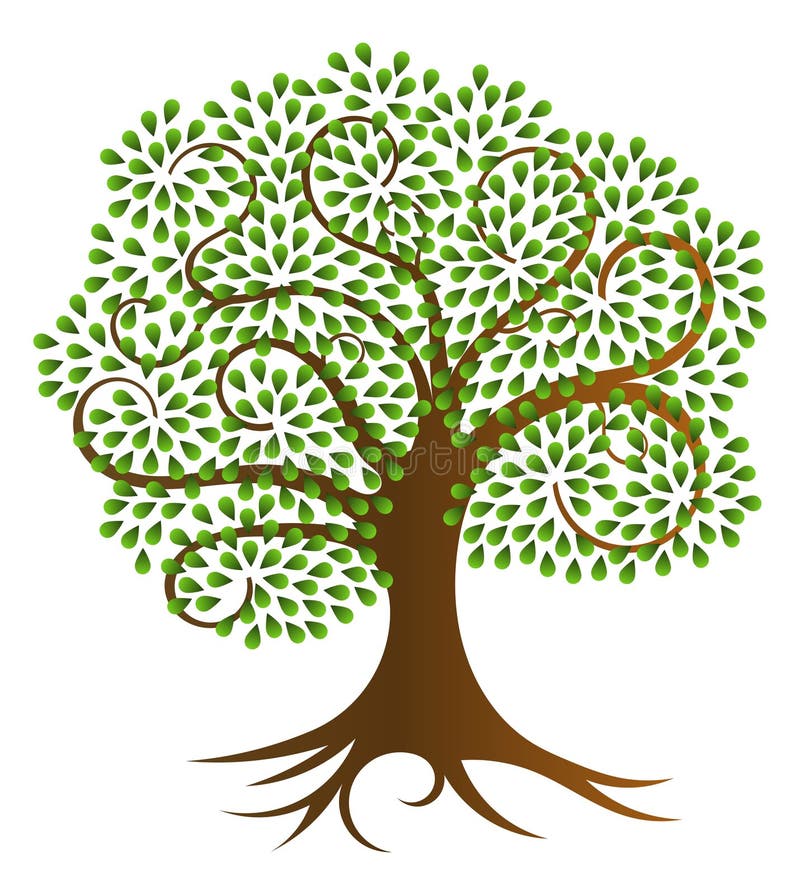 Spiral Tree Vector Illustration Stock Vector - Illustration of vector ...