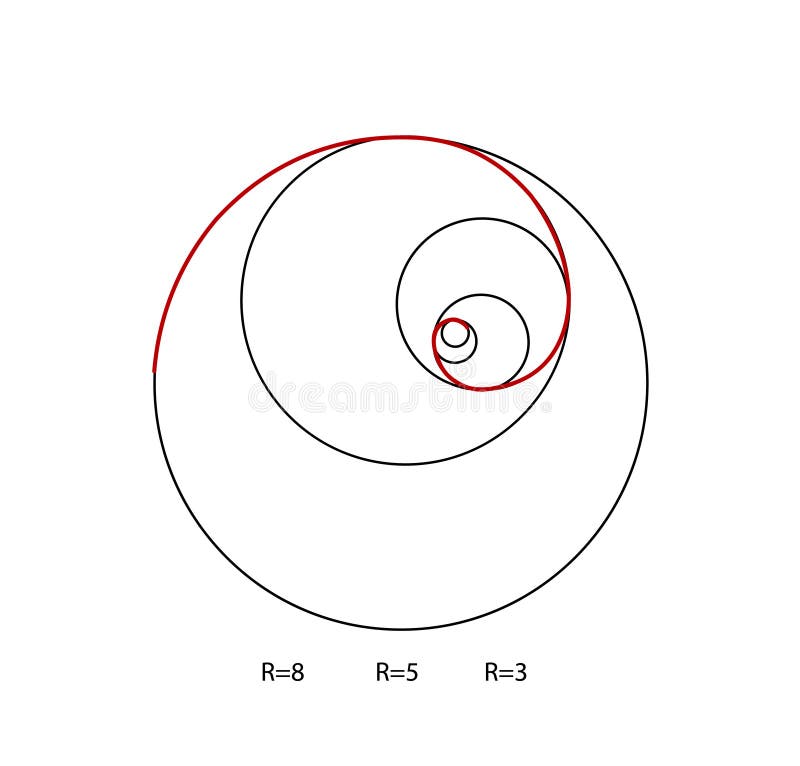 Spirale Et Ordre D'or De Fibonacci Illustration Stock - Illustration du ...