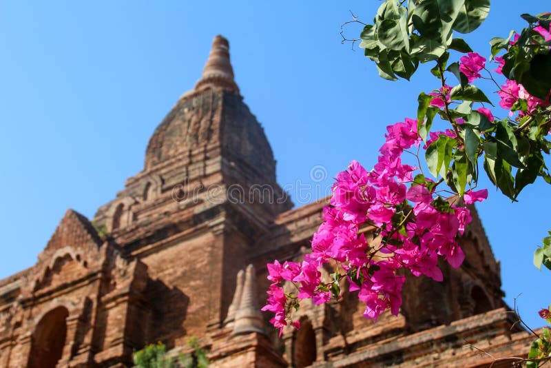 The Spirit of Myanmar stock photo. Image of monk, monastery - 145240156