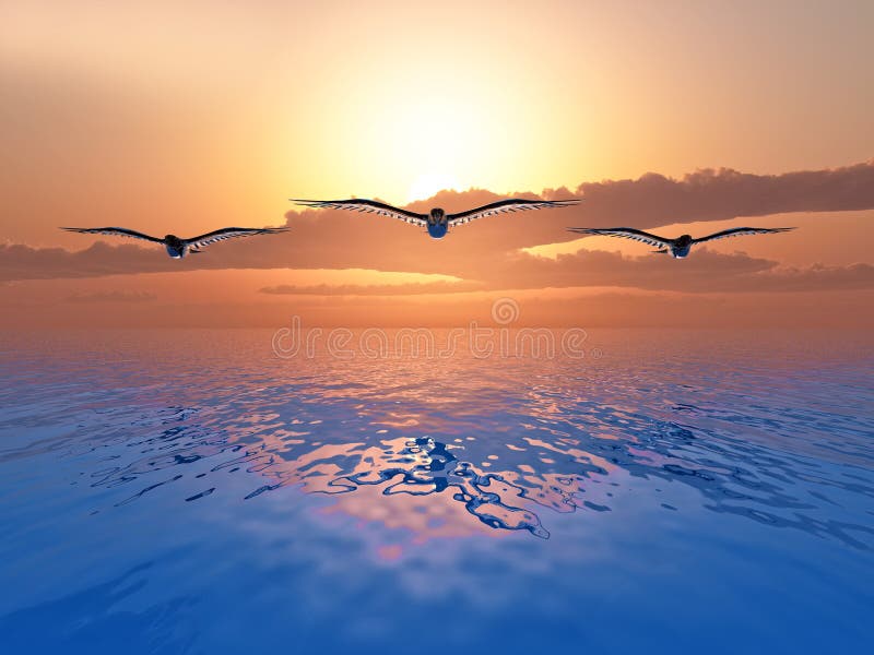403 Dove Flying Over Water Stock Photos - Free & Royalty-Free Stock ...