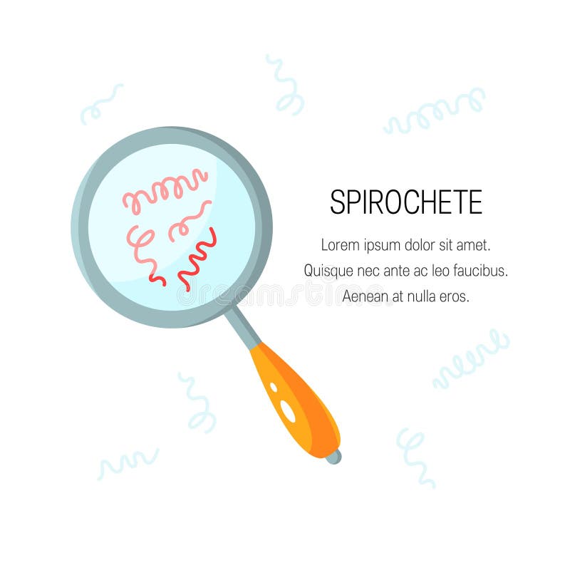 Spirochete Stock Illustrations – 100 Spirochete Stock Illustrations ...