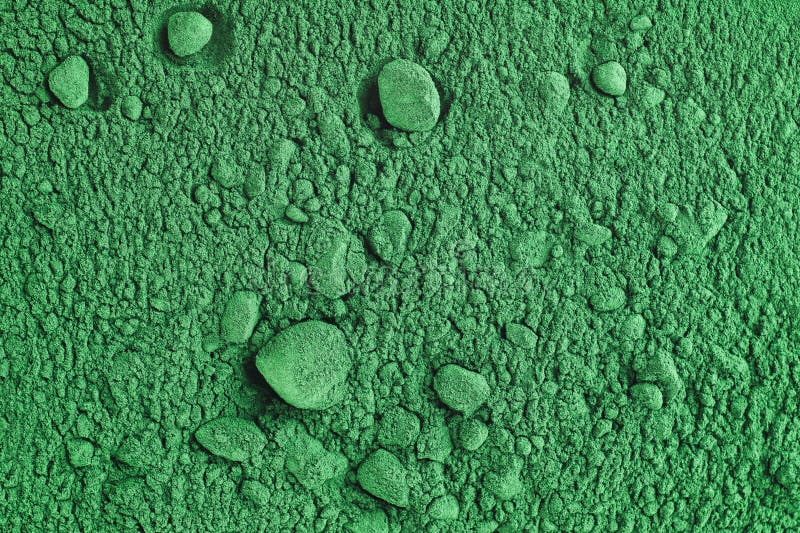 Spirulina powder stock photo. Image of iron, cyanobacterium - 263253128