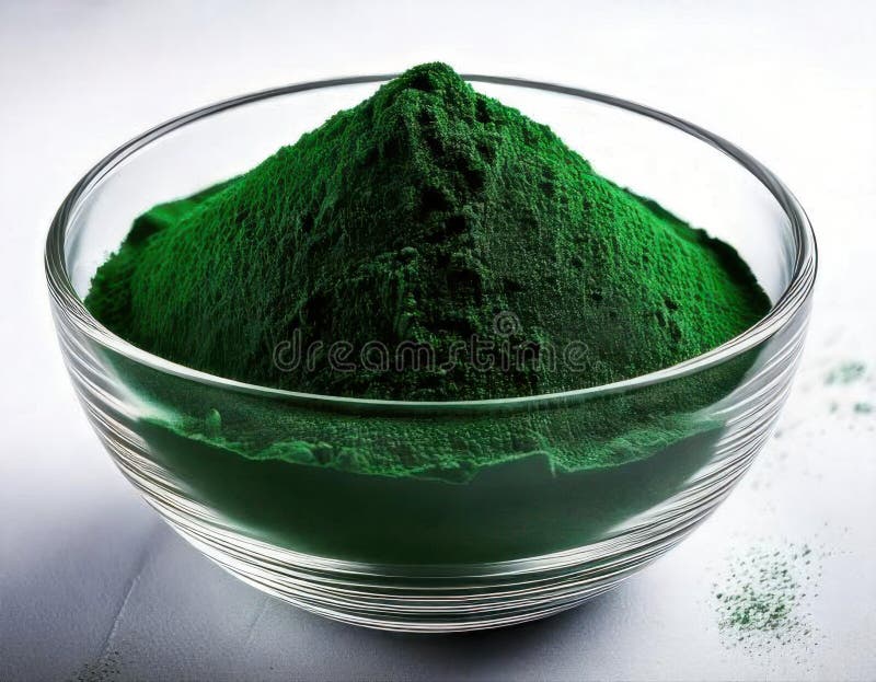 Spirulina Powder in a Transparent Bowl Stock Illustration ...