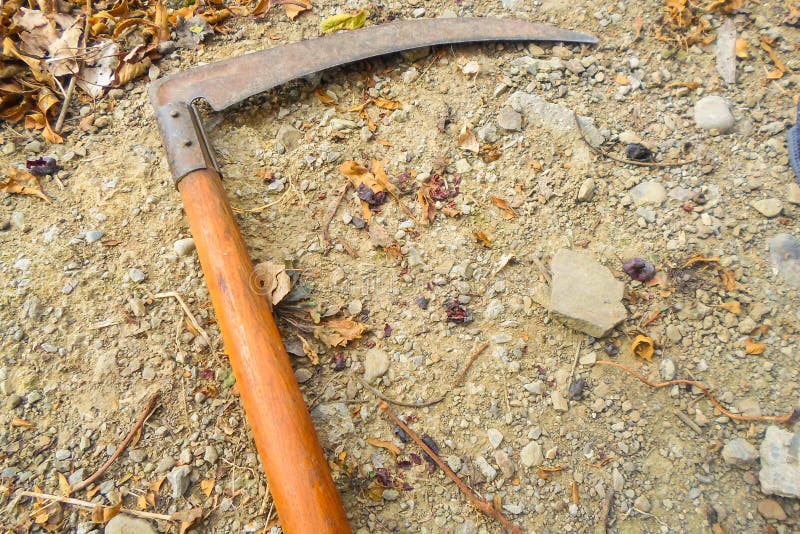 Spit Mowing Grass on the Ground. Autumn Harvest. Dry Leaves and Grass ...