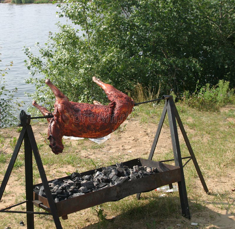 Spit-roast lamb stock image. Image of grill, roasted - 59041337