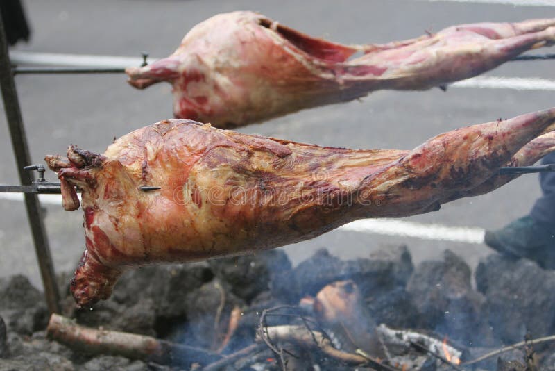 Spit roasted meat stock image. Image of health, burn, flame - 897515
