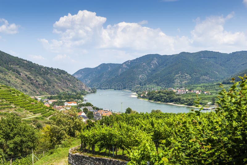 Spitz, Austria, View To Danube River from Ruins of Hinterhaus. Stock ...