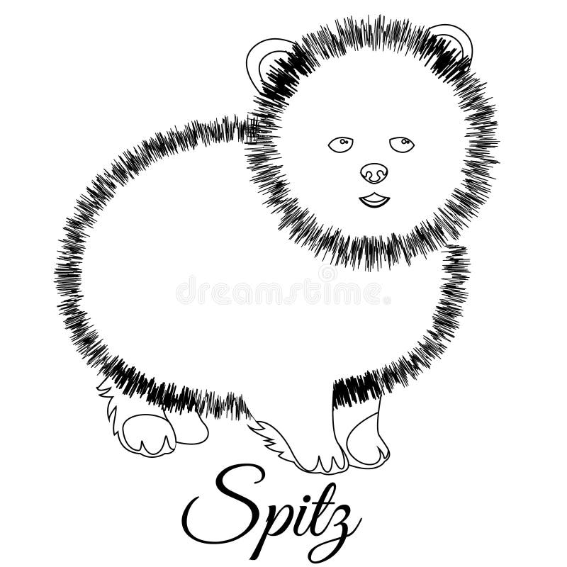 Spitz dog outline stock illustration. Illustration of animal - 103058589