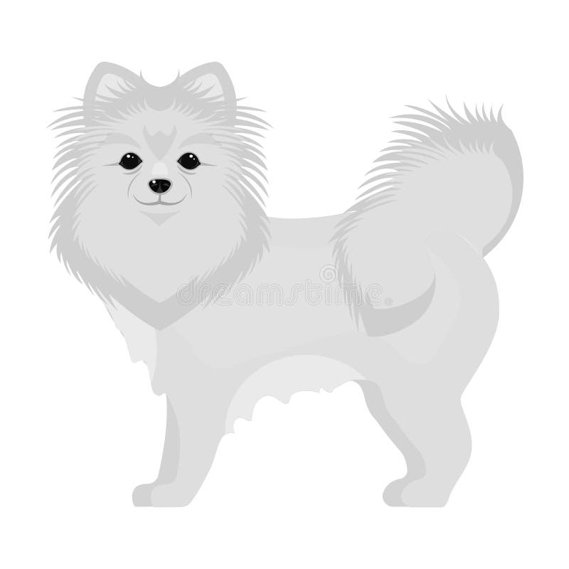 Spitz Single Icon in Cartoon Style.Spitz Vector Symbol Stock ...