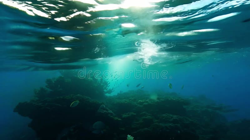 Camera Falls into Sea Water Creates a Dynamic Splash Across Ocean ...