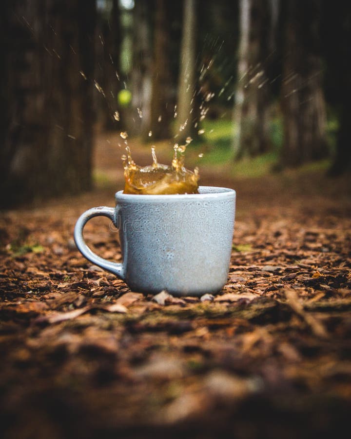 Splash of Coffee in the Forest Stock Photo - Image of splash, forest ...