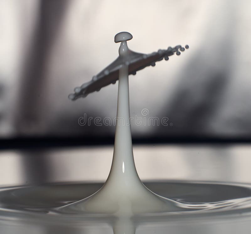 Splash drop of milk stock image. Image of purity, healthy - 121863209
