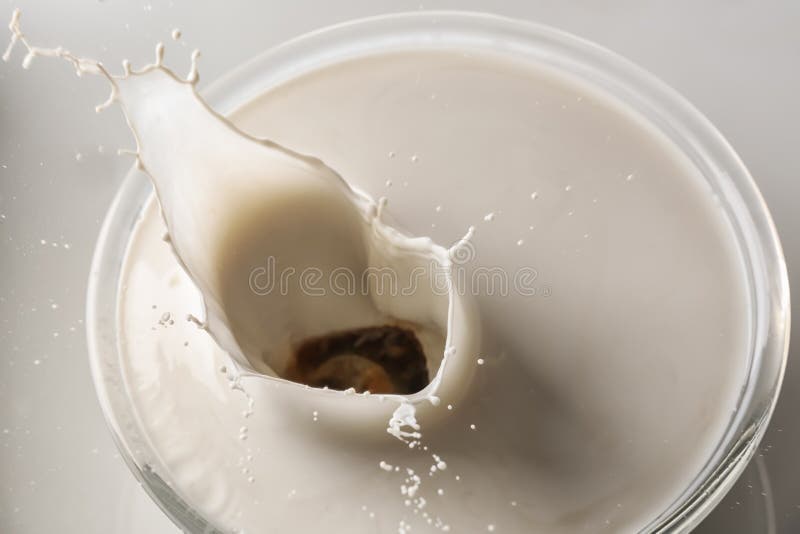 Splash of fresh milk stock image. Image of refreshment - 151328137