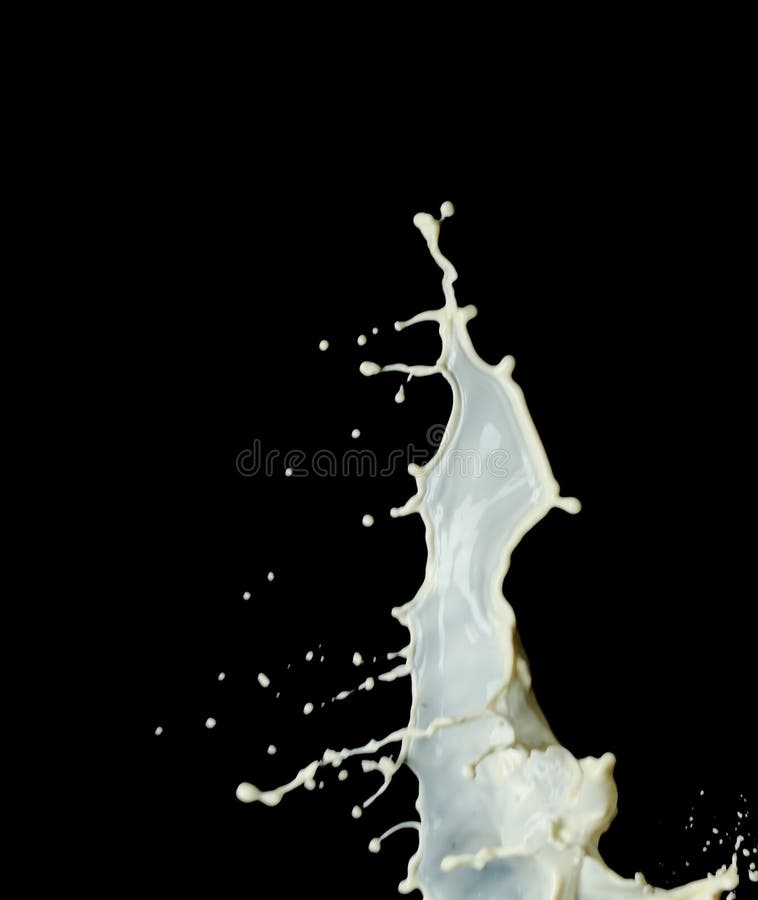 Splash of Fresh Milk on White Stock Photo - Image of curve, nutrition ...