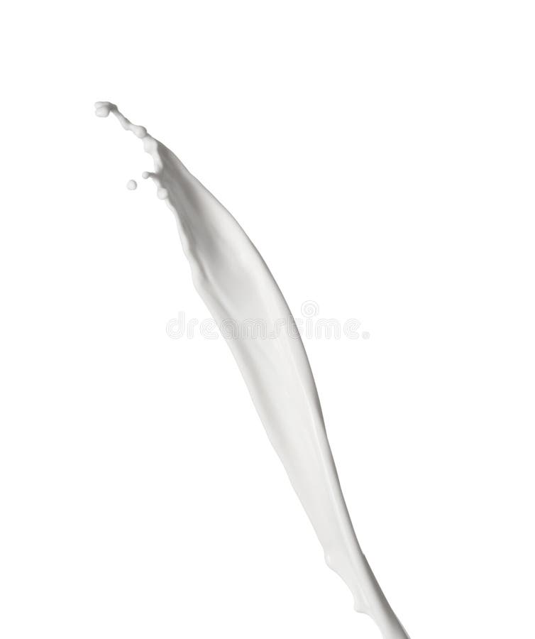 Splash of Fresh Milk on White Stock Photo - Image of curve, nutrition ...
