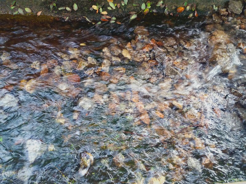 A splash of fresh water stock photo. Image of light - 118277488