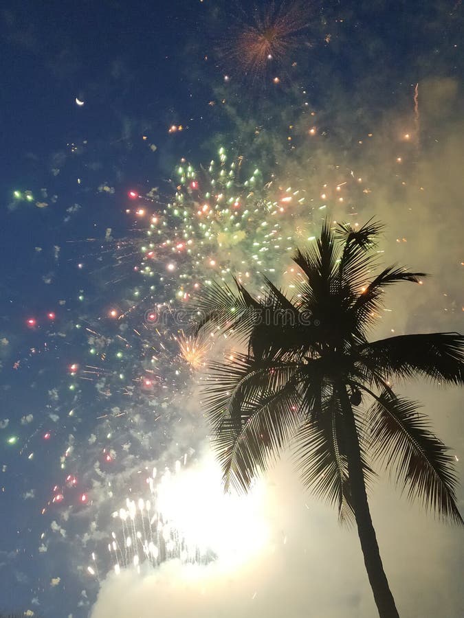 Splash Light of Coconut Tree ðŸŒ´nature Kerala Pooram Festival Stock ...