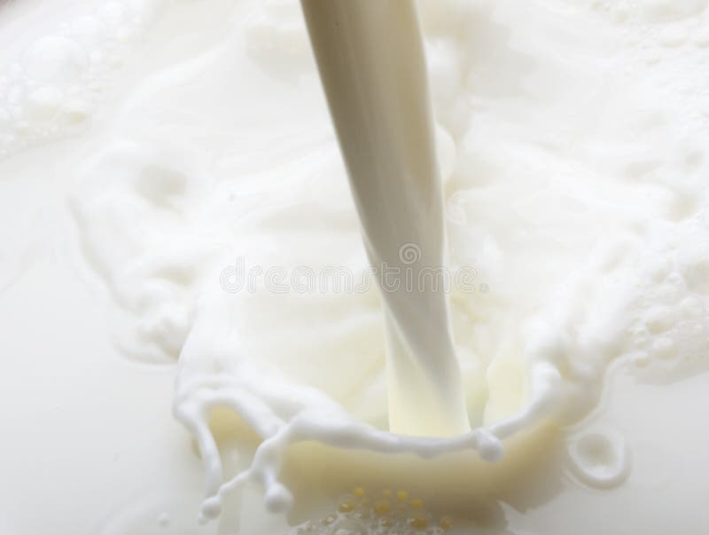 Milk splash stock image. Image of background, isolated - 16465721