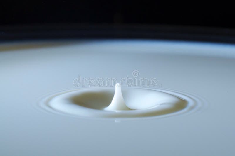 Splash of milk stock photo. Image of splash, drops, milk - 45824464