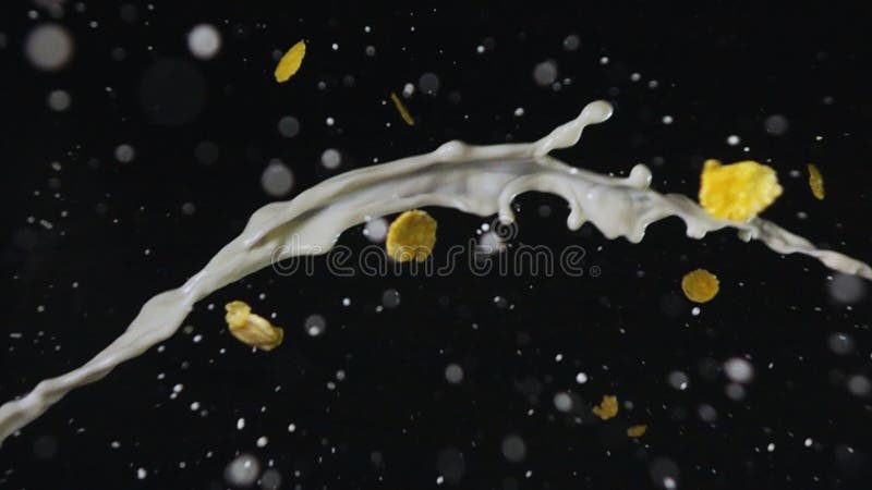 Splash of Milk Stream and Corn Flakes Stock Footage - Video of flakes ...