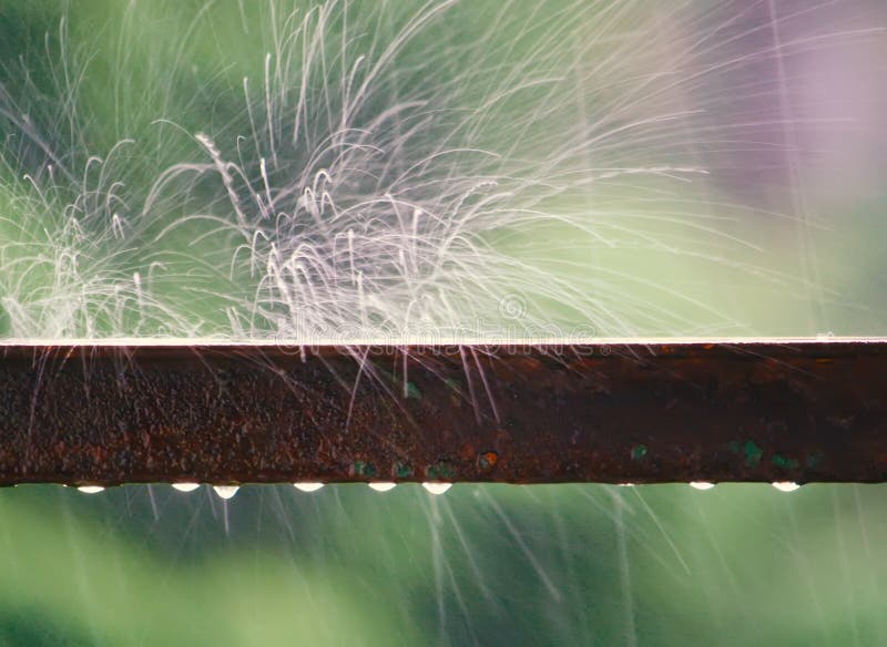 Splash of rain drops stock photo. Image of aqua, abstract - 87805358
