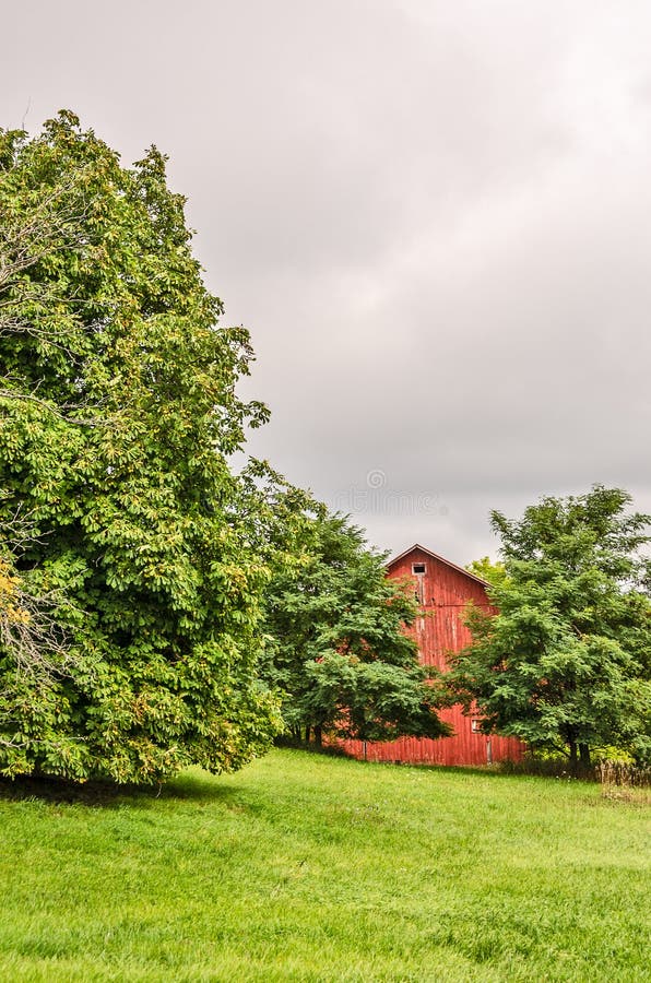 Splash of a Red Barn among Green Trees Stock Photo - Image of wood ...