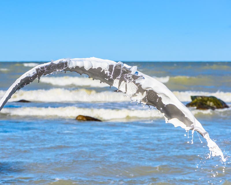 Splash on sea background stock image. Image of bright - 65043451
