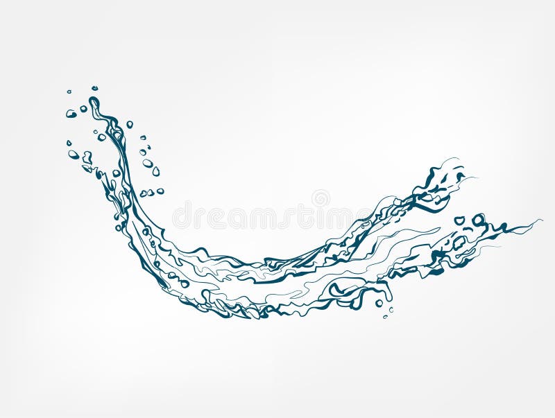 Splash Vector Isolated Line Water Drop Stock Illustration ...