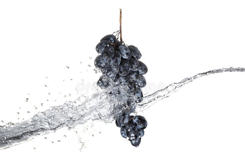 Splash of Water Crossing through Bunch of Juicy Grapes on Isolated ...