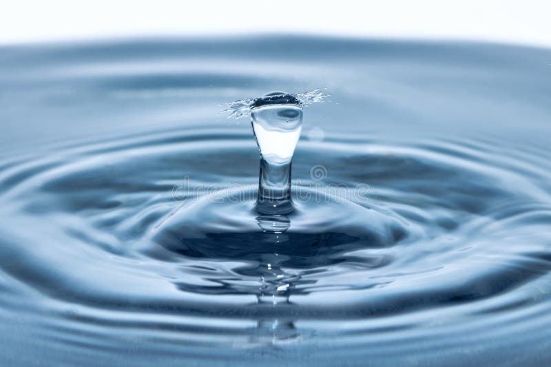 Splash of Water Drop stock photo. Image of closeup, drops - 66404898