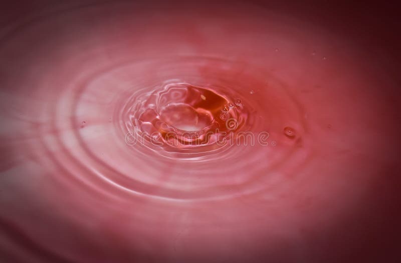 Splash from Water Droplet stock photo. Image of drip - 141202816