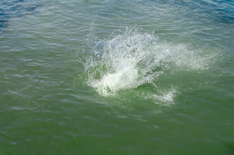 Splash of Water in a Lake or River Stock Photo - Image of surface ...