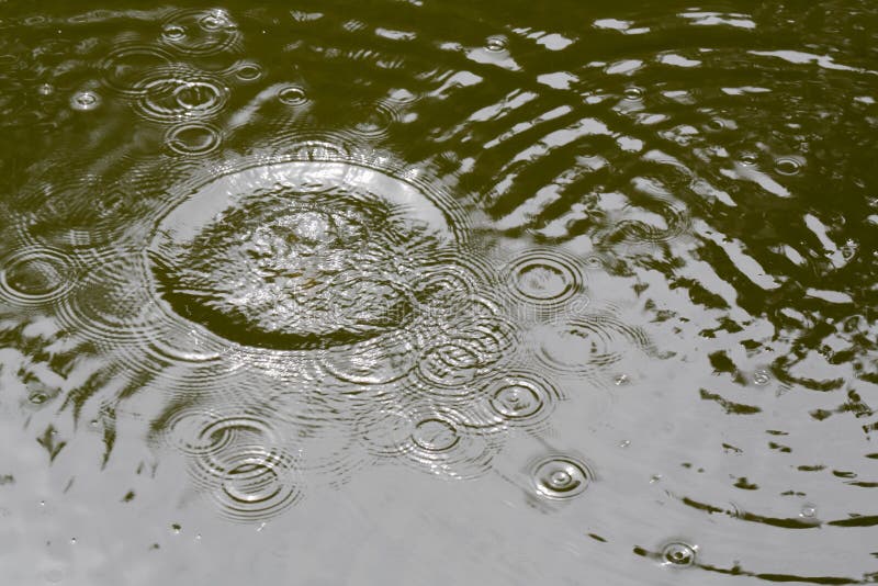 Splash water in the pond stock image. Image of droplet - 53139613