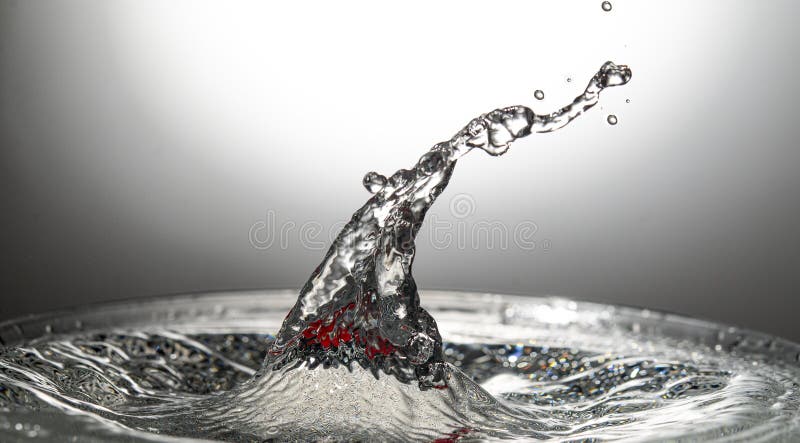 Splash of Water Rising Above from Water Pond Stock Image - Image of ...
