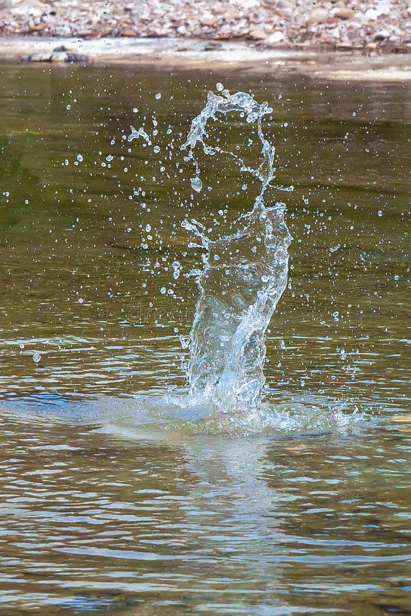 Splash in the Water, Splash, Threw a Stone into the River Stock Image ...