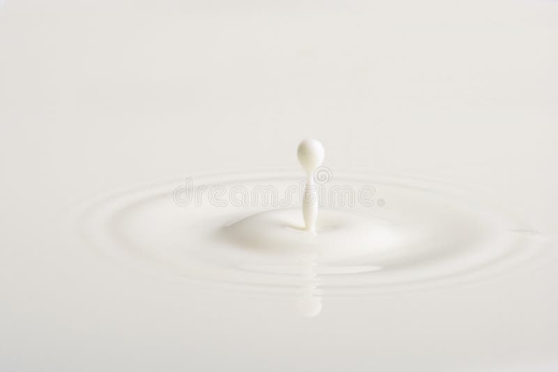 Splashed milk stock image. Image of splash, macro, healthy - 5741503