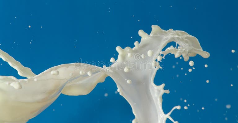 Splashed milk stock photo. Image of concepts, cool, backdrop - 6766056