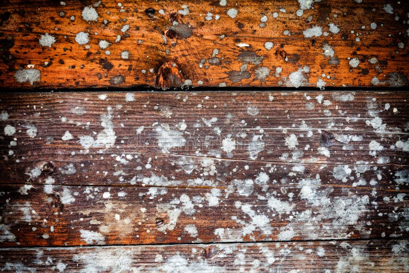 Splashed Wooden Texture Background Stock Photo - Image of historical ...