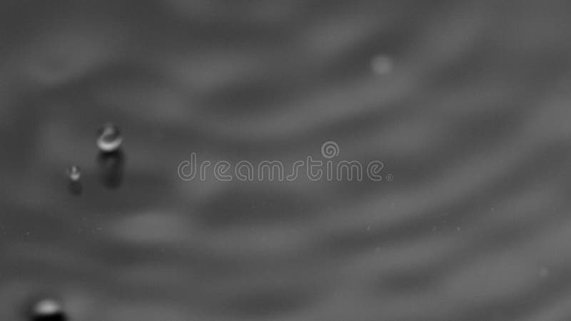 Splashes and Drops on the Surface of the Liquid. Abstract Black ...